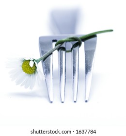1,686 Fork daisy Images, Stock Photos & Vectors | Shutterstock