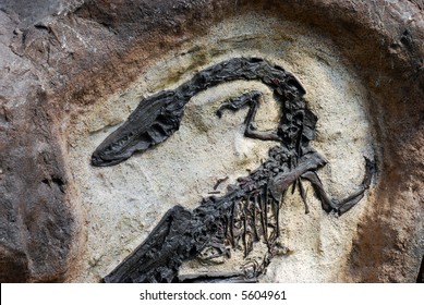 810 Paleontology dig site Images, Stock Photos & Vectors | Shutterstock