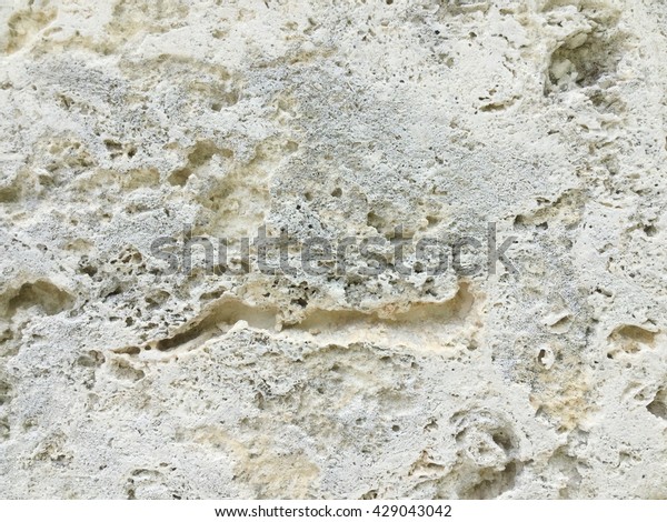 Fossil Seashells Limestone Stock Photo 429043042 | Shutterstock