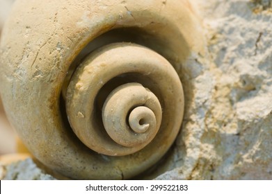 65 Helical scale Images, Stock Photos & Vectors | Shutterstock