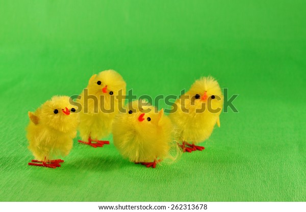 Four Easter Chicks Four Yellow Fluffy Stock Photo (Edit Now) 262313678
