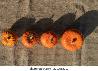 7,320 Four Pumpkins Images, Stock Photos & Vectors | Shutterstock