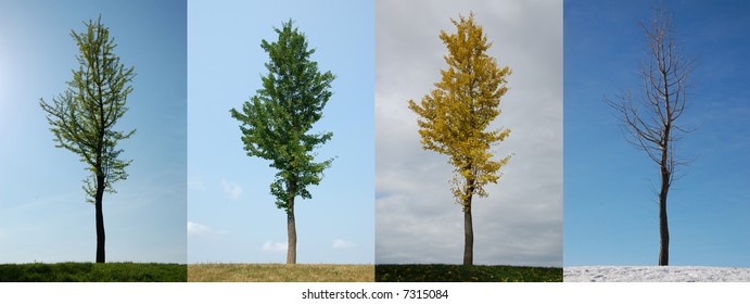 Stock Photo and Image Portfolio by Joel Blit | Shutterstock