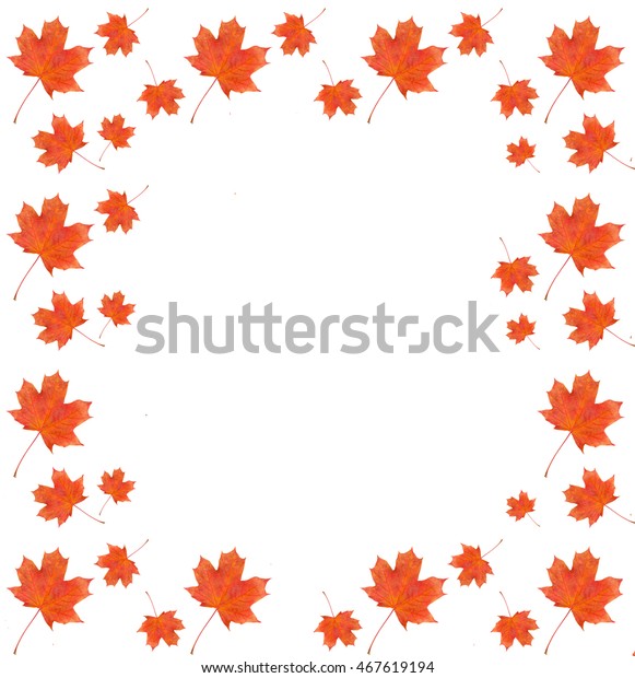 923 fotos de Text box templates leaf - Fotos, imágenes y otros ...