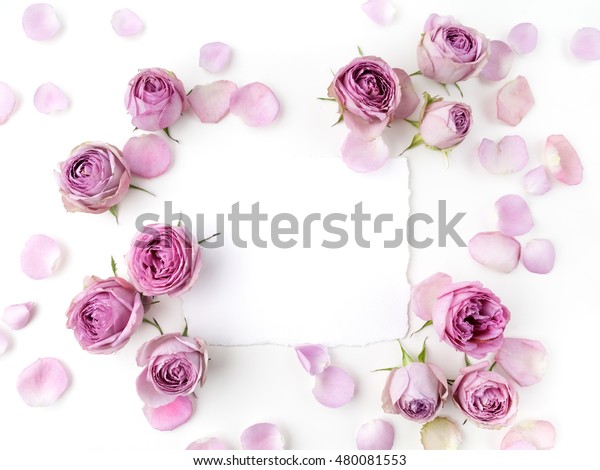 Framework Roses On White Background Flat Stock Photo 480081553 ...