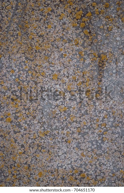 Frayed Stone Texture Surface Pattern Stock Photo 704651170 | Shutterstock