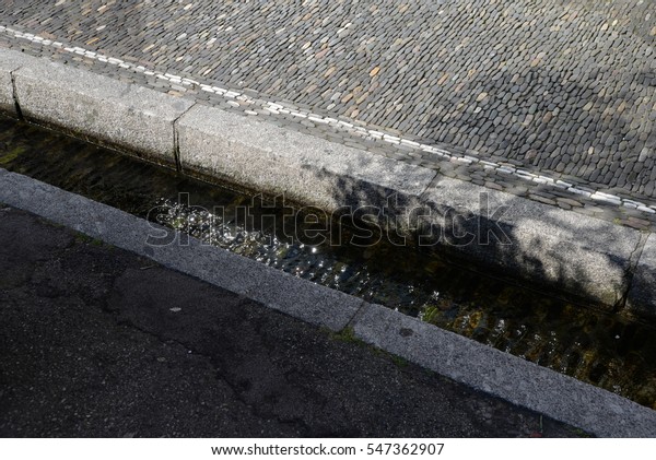 Freiburger Baechle Stock Photo 547362907 | Shutterstock