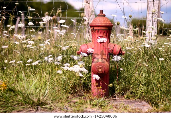 French Fire Hydrant Red Hydrant Between Stock Photo 1425048086 ...