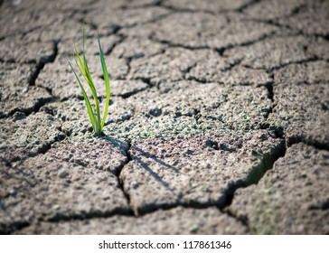 1,766 Spring Forth Images, Stock Photos & Vectors | Shutterstock