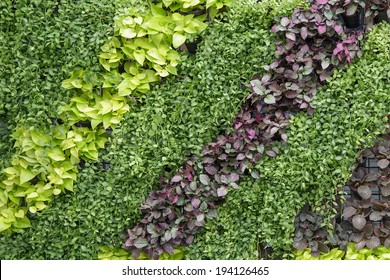 64,384 Vertical garden texture Images, Stock Photos & Vectors ...