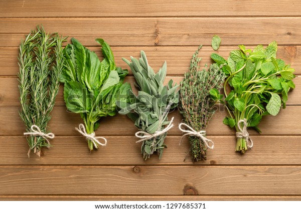 Fresh Herbs Basil Mint Thyme Rosemary Stock Photo 1297685371 | Shutterstock