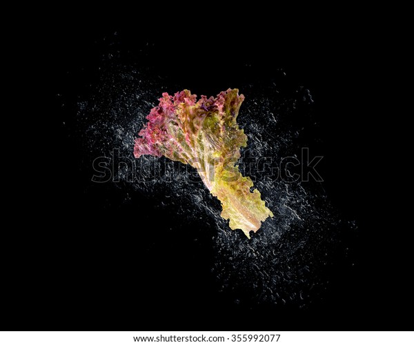 Fresh Vegetable Water Splash Float Air Stock Photo 355992077 | Shutterstock