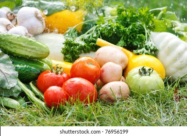 Fresh Vegetables Stock Photo 76956199 | Shutterstock
