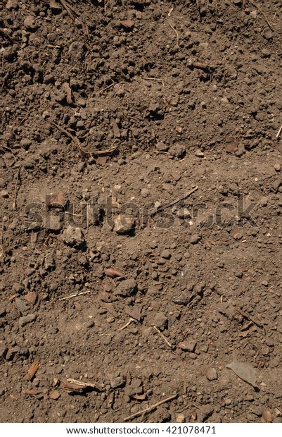 Friable Soil Stock Photo 421078471 | Shutterstock