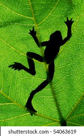 1,955 Tree frog silhouette Images, Stock Photos & Vectors | Shutterstock