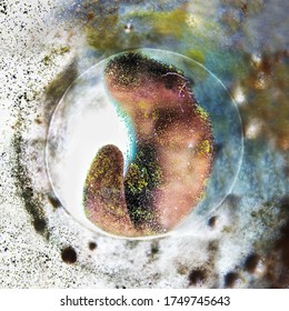 4,826 Baby With Microscopes Images, Stock Photos & Vectors | Shutterstock