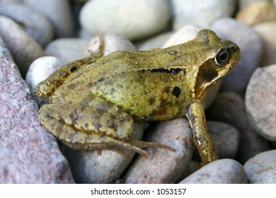 Stock Photo and Image Portfolio by photogen | Shutterstock