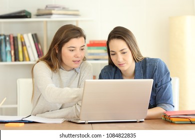 Free Stock Photo of Two Students Learn from Computer | Download Free ...