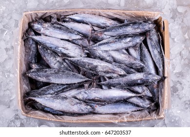 86,109 Frozen fish Stock Photos, Images & Photography | Shutterstock