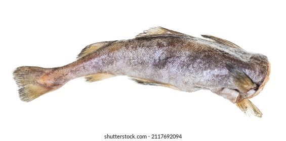 Headless fish Images, Stock Photos & Vectors | Shutterstock