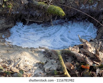 Frozen Puddle Forest Thin Layer Ice Stock Photo 1116781982 | Shutterstock
