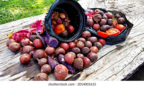 Fruits Vegetables Preparing Make Compost Fertilizer Stock Photo ...