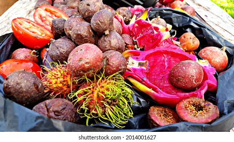 Colecciones de kumpol.pijadee | Shutterstock