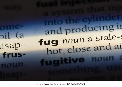 Fug Stock Photos, Images & Photography | Shutterstock