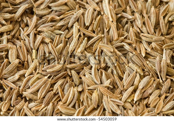Full Frame Image Cumin Which Suitable Stock Photo 54503059 | Shutterstock