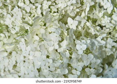 5,458 Crooked Frame Images, Stock Photos & Vectors | Shutterstock