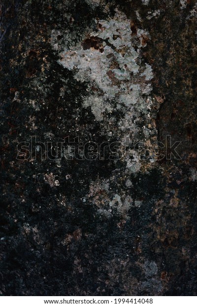 Full Hd Texture Background Poster Web Stock Photo 1994414048 | Shutterstock