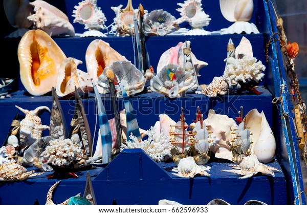 Full Market Old Table Shell Sealife Stock Photo 662596933 | Shutterstock