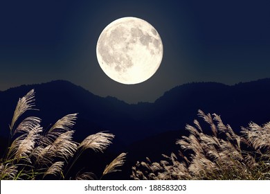 48,568 Moon fall Images, Stock Photos & Vectors | Shutterstock
