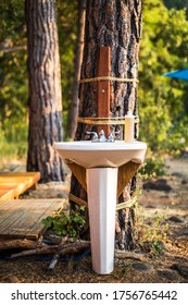 294 Tree trunk sink Images, Stock Photos & Vectors | Shutterstock