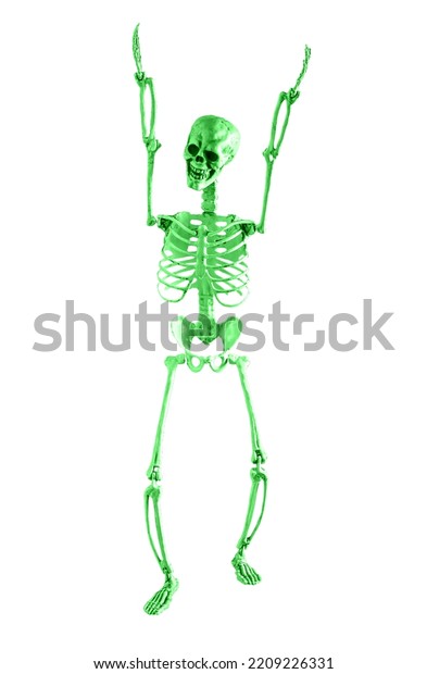 Funny Dancing Skeleton Isolated On White Stock Photo 2209226331 ...