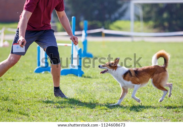Funny Dog Handler Running Agility Competition Stock Photo 1124608673 ...