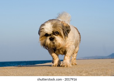 151 imágenes de Mucky faces - Imágenes, fotos y vectores de stock ...