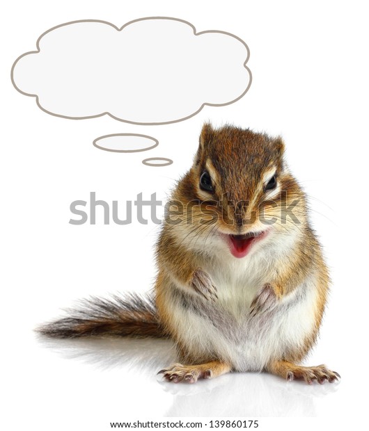 533 Talking Squirrel Images, Stock Photos & Vectors | Shutterstock