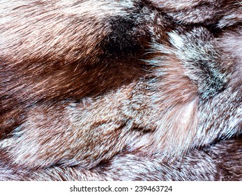 524 Beaver fur texture Stock Photos, Images & Photography | Shutterstock
