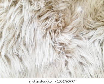 Fur Texture Wool Background Stock Photo 1036760797 | Shutterstock