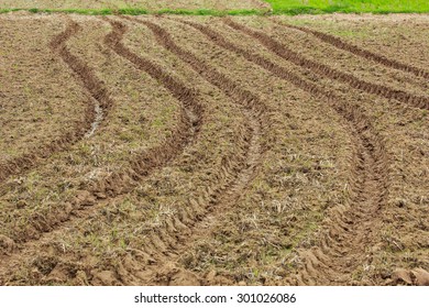 Furrows Stock Photo 301026086 | Shutterstock