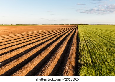 18,206 Soil tillage Images, Stock Photos & Vectors | Shutterstock