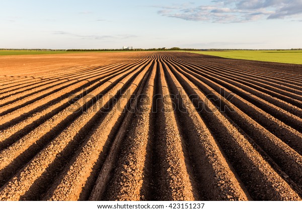 14.650 imagens de Soil furrows Imagens, fotos stock e vetores ...