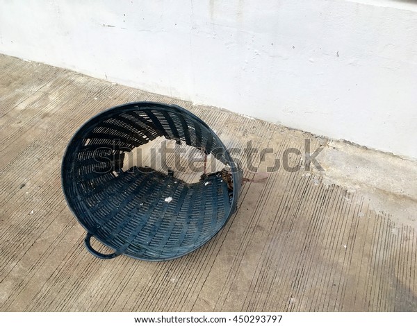Garbage Bin Hole Stock Photo 450293797 | Shutterstock