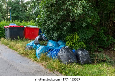 378 Trash Under The Tree In The Park Images, Stock Photos & Vectors ...