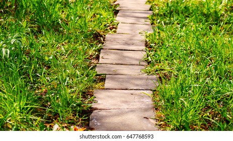 Garden Path On Grass Texture Background Stock Photo 647768593 ...