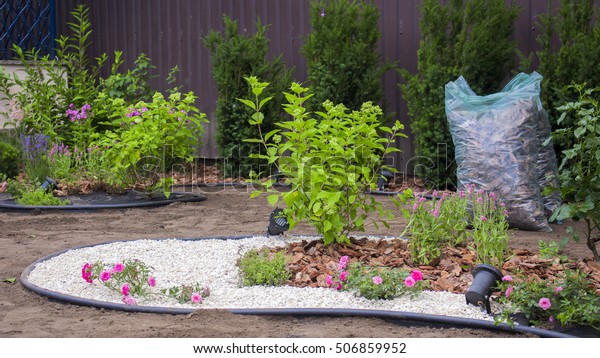 Gardening Plot Process Plants Planting Installation Stock Photo ...