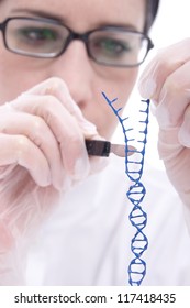 Genmanipulation 스톡 사진 117418396 | Shutterstock