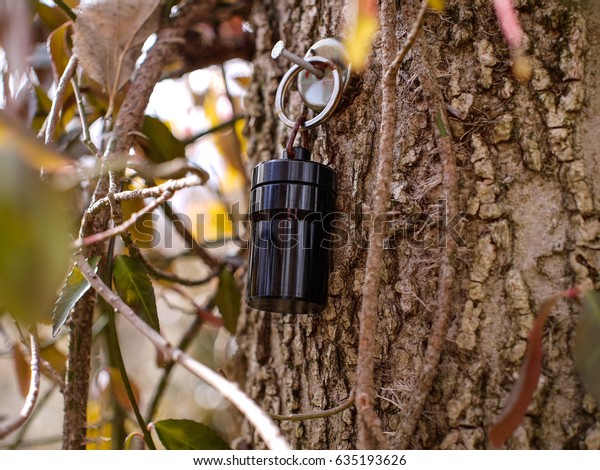 Geocache On Tree Stock Photo (Edit Now) 635193626