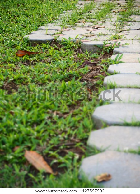 Geometry Grey Cement Bricks Pathway On Stock Photo 1127557502 ...